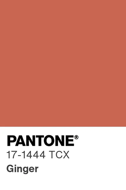 PANTONE 17-1444 TCX Ginger - Pantone色号库|Pantone潘通中国官网