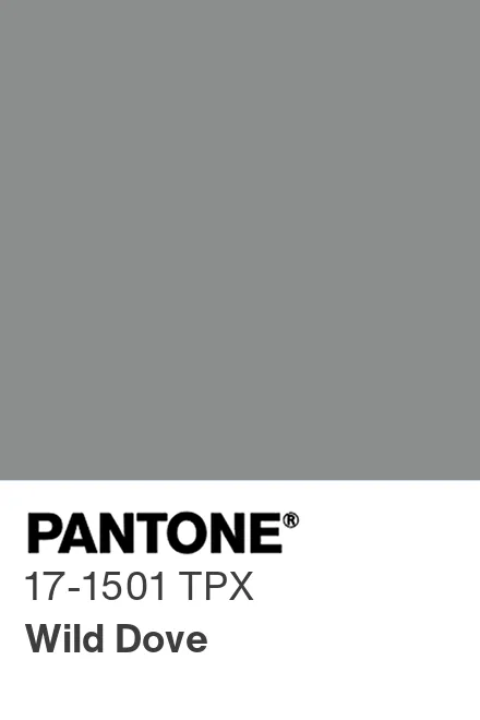 PANTONE 17-1501 TPG Wild Dove - Pantone色号库|Pantone潘通中国官网
