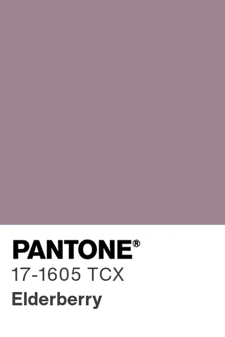 PANTONE 17-1605 TCX Elderberry - Pantone色号库|Pantone潘通中国官网