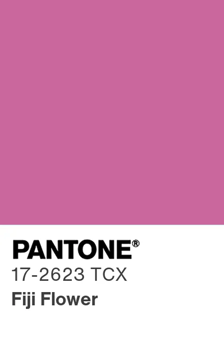 PANTONE 17-2623 TCX Fiji Flower - Pantone色号库|Pantone潘通中国官网