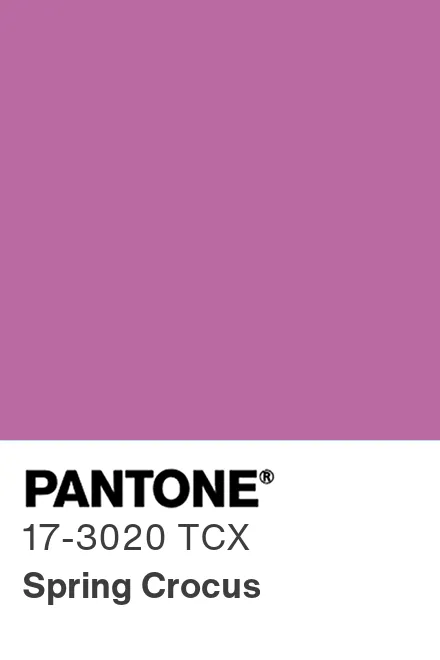 PANTONE 17-3020 TCX Spring Crocus - Pantone色号库|Pantone潘通中国官网