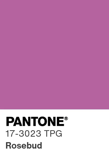 PANTONE 17-3023 TPG Rosebud - Pantone色号库|Pantone潘通中国官网
