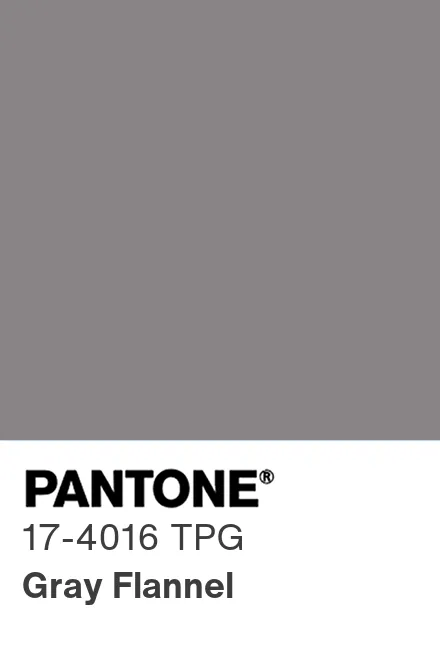 PANTONE 17-4016 TPG Gray Flannel - Pantone色号库|Pantone潘通中国官网