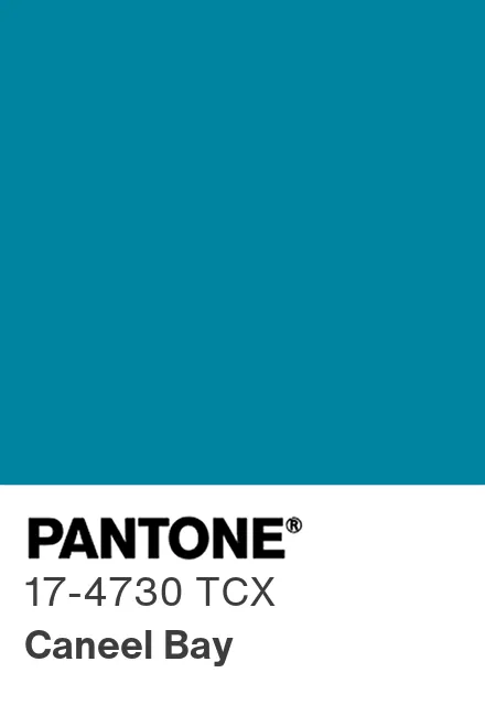 PANTONE 17-4730 TCX Caneel Bay - Pantone色号库|Pantone潘通中国官网