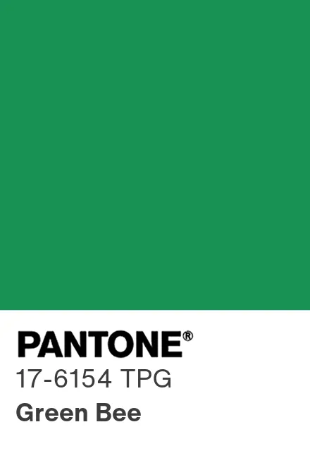 PANTONE 17-6154 TPG Green Bee - Pantone色号库|Pantone潘通中国官网