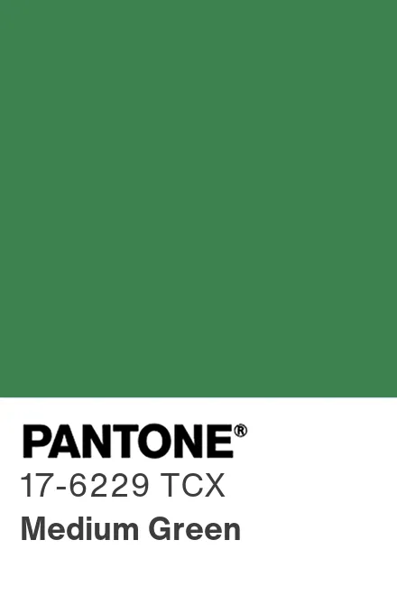 PANTONE 17-6229 TCX Medium Green - Pantone色号库|Pantone潘通中国官网