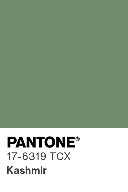 PANTONE 17-6319 TCX Kashmir - Pantone色号库|Pantone潘通中国官网