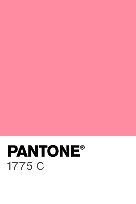 PANTONE 1775 C - Pantone色号库|Pantone潘通中国官网