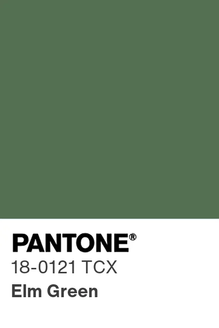 PANTONE 18-0121 TCX Elm Green - Pantone色号库|Pantone潘通中国官网