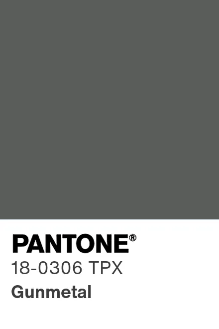 PANTONE 18-0306 TPG Gunmetal - Pantone色号库|Pantone潘通中国官网