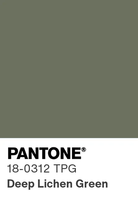 PANTONE 18-0312 TPG Deep Lichen Green - Pantone色号库|Pantone潘通中国官网