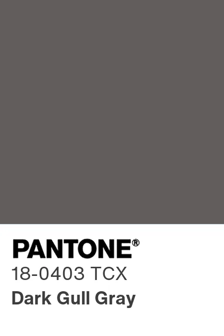 PANTONE 18-0403 TCX Dark Gull Gray - Pantone色号库|Pantone潘通中国官网