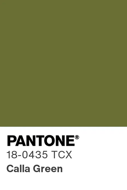 PANTONE 18-0435 TCX Calla Green - Pantone色号库|Pantone潘通中国官网