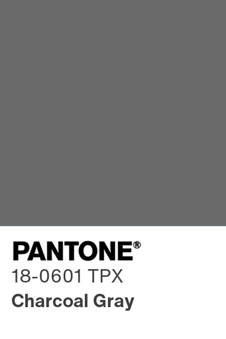 PANTONE 18-0601 TPG Charcoal Gray - Pantone色号库|Pantone潘通中国官网