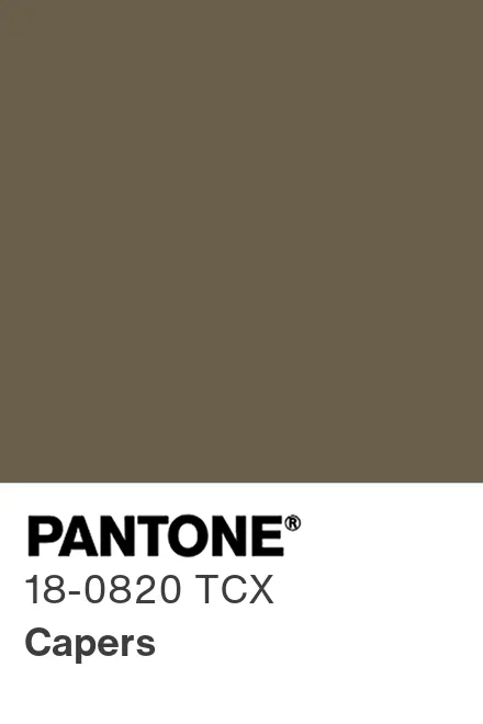 PANTONE 18-0820 TCX Capers - Pantone色号库|Pantone潘通中国官网