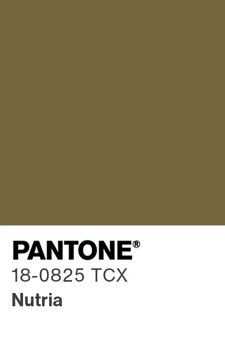 PANTONE 18-0825 TCX Nutria - Pantone色号库|Pantone潘通中国官网