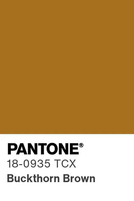 PANTONE 18-0935 TCX Buckthorn Brown - Pantone色号库|Pantone潘通中国官网