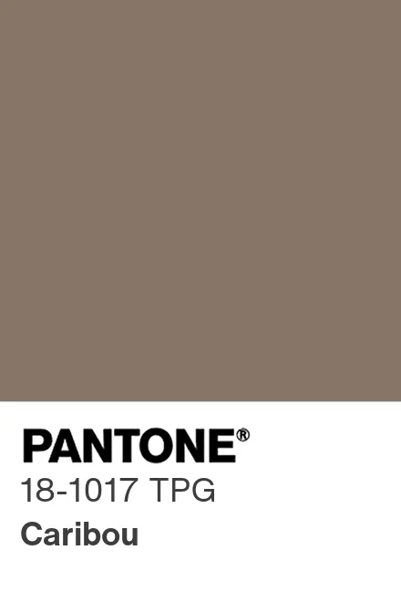 PANTONE 18-1017 TPG Caribou - Pantone色号库|Pantone潘通中国官网