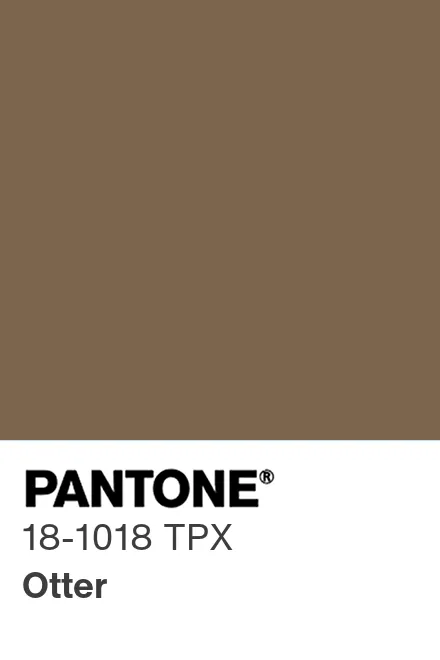 PANTONE 18-1018 TPG Otter - Pantone色号库|Pantone潘通中国官网