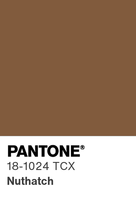 PANTONE 18-1024 TCX Nuthatch - Pantone色号库|Pantone潘通中国官网