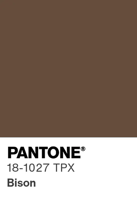 PANTONE 18-1027 TPG Bison - Pantone色号库|Pantone潘通中国官网