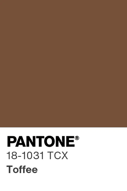 PANTONE 18-1031 TCX Toffee - Pantone色号库|Pantone潘通中国官网