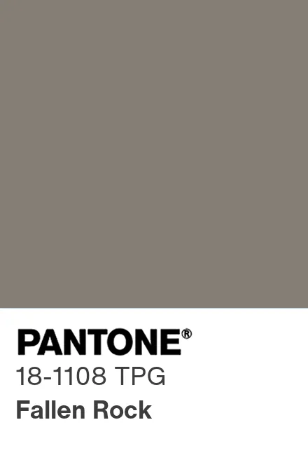 PANTONE 18-1108 TPG Fallen Rock - Pantone色号库|Pantone潘通中国官网