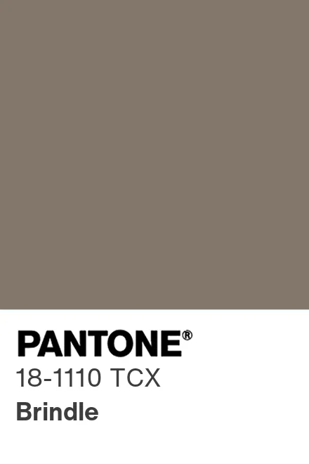 PANTONE 18-1110 TCX Brindle - Pantone色号库|Pantone潘通中国官网