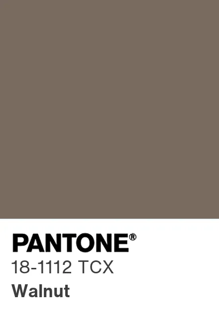 PANTONE 18-1112 TCX Walnut - Pantone色号库|Pantone潘通中国官网