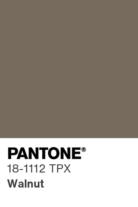 PANTONE 18-1112 TPG Walnut - Pantone色号库|Pantone潘通中国官网