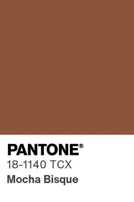 PANTONE 18-1140 TCX Mocha Bisque - Pantone色号库|Pantone潘通中国官网