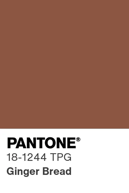 PANTONE 18-1244 TPG Ginger Bread - Pantone色号库|Pantone潘通中国官网