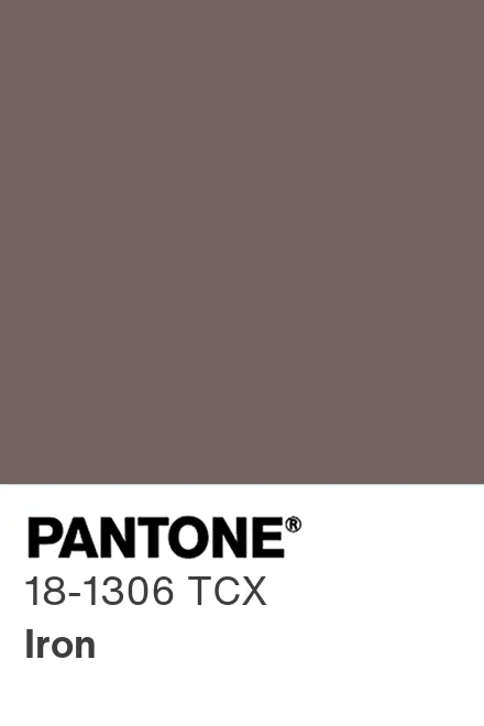 PANTONE 18-1306 TCX Iron - Pantone色号库|Pantone潘通中国官网