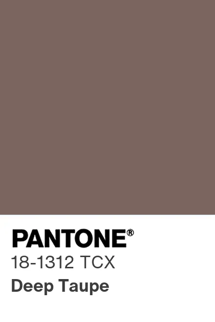 PANTONE 18-1312 TCX Deep Taupe - Pantone色号库|Pantone潘通中国官网