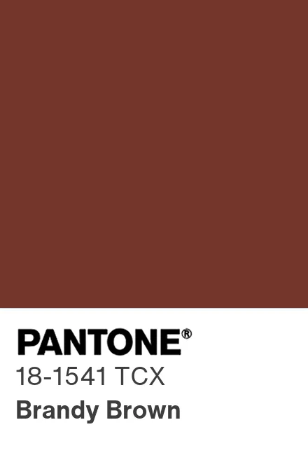 PANTONE 18-1541 TCX Brandy Brown - Pantone色号库|Pantone潘通中国官网