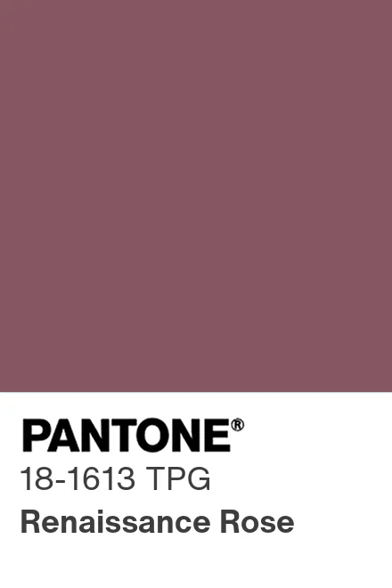 PANTONE 18-1613 TPG Renaissance Rose - Pantone色号库|Pantone潘通中国官网