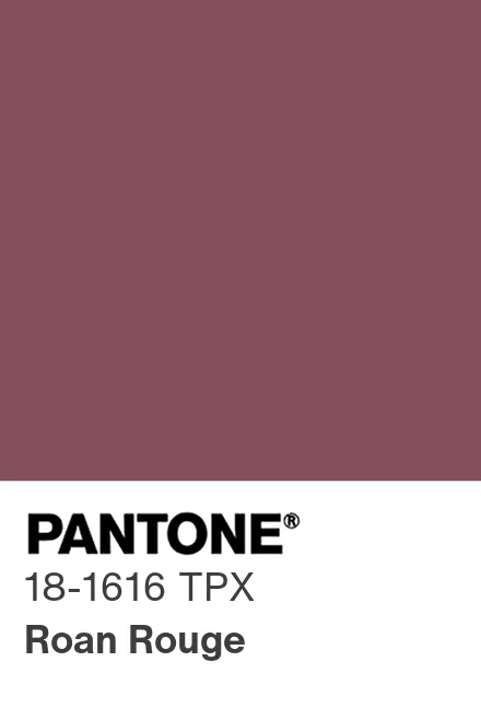 PANTONE 18-1616 TPG Roan Rouge - Pantone色号库|Pantone潘通中国官网