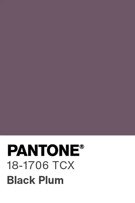 PANTONE 18-1706 TCX Black Plum - Pantone色号库|Pantone潘通中国官网