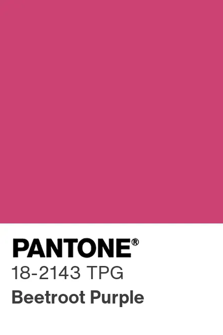 PANTONE 18-2143 TPG Beetroot Purple - Pantone色号库|Pantone潘通中国官网