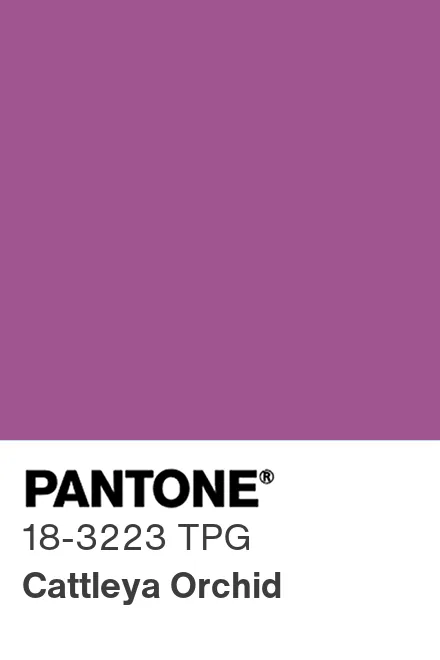 PANTONE 18-3223 TPG Cattleya Orchid - Pantone色号库|Pantone潘通中国官网