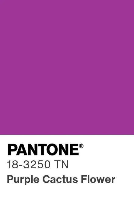 PANTONE 18-3250 TN Purple Cactus Flower - Pantone色号库|Pantone潘通中国官网