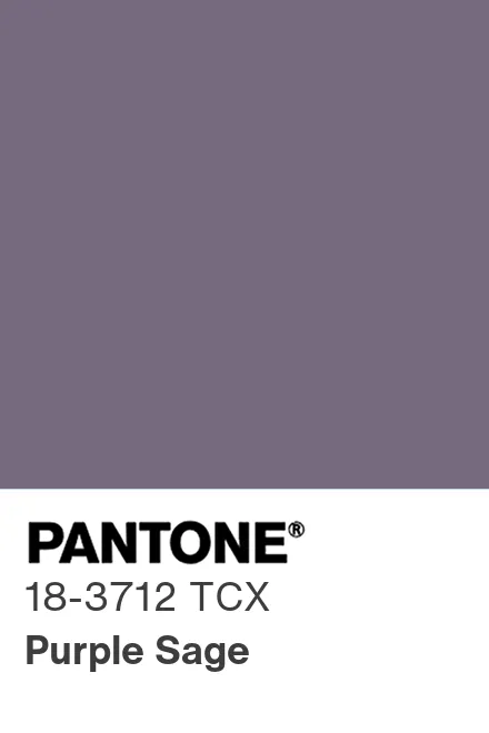 PANTONE 18-3712 TCX Purple Sage - Pantone色号库|Pantone潘通中国官网