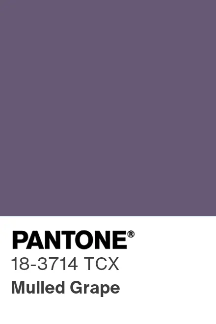 PANTONE 18-3714 TCX Mulled Grape - Pantone色号库|Pantone潘通中国官网