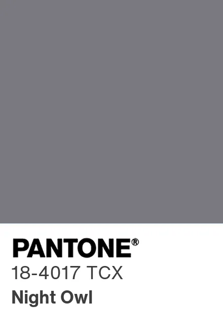 PANTONE 18-4017 TCX Night Owl - Pantone色号库|Pantone潘通中国官网