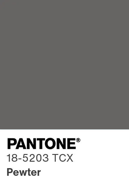 PANTONE 18-5203 TCX Pewter - Pantone色号库|Pantone潘通中国官网