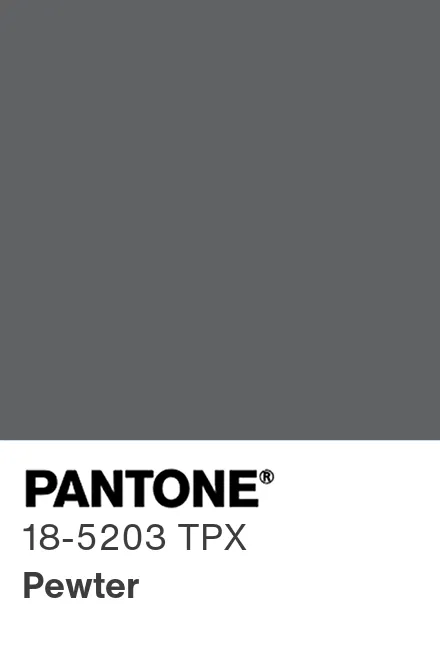 PANTONE 18-5203 TPG Pewter - Pantone色号库|Pantone潘通中国官网