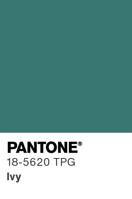 PANTONE 18-5620 TPG Ivy - Pantone色号库|Pantone潘通中国官网