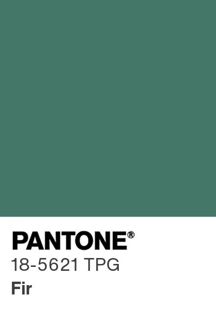PANTONE 18-5621 TPG Fir - Pantone色号库|Pantone潘通中国官网