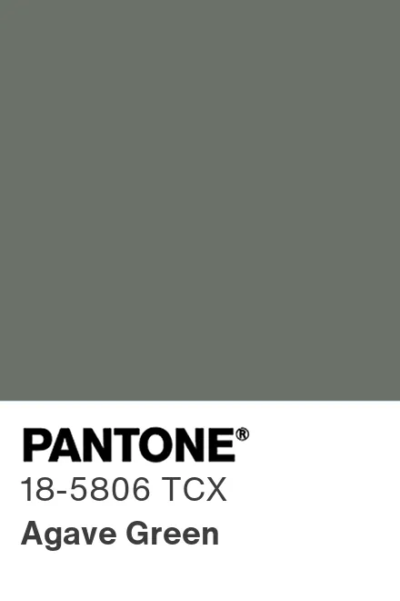 PANTONE 18-5806 TCX Agave Green - Pantone色号库|Pantone潘通中国官网