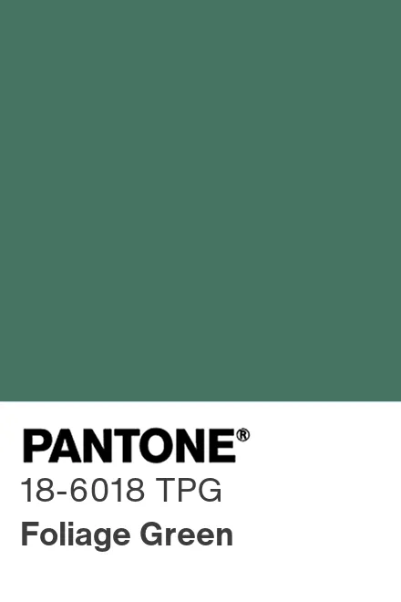 PANTONE 18-6018 TPG Foliage Green - Pantone色号库|Pantone潘通中国官网